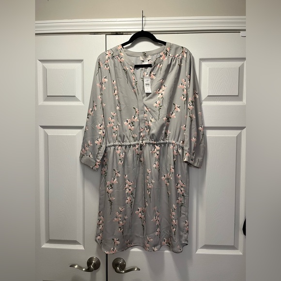 LOFT | Dresses | Nwt Loft Dress | Poshmark